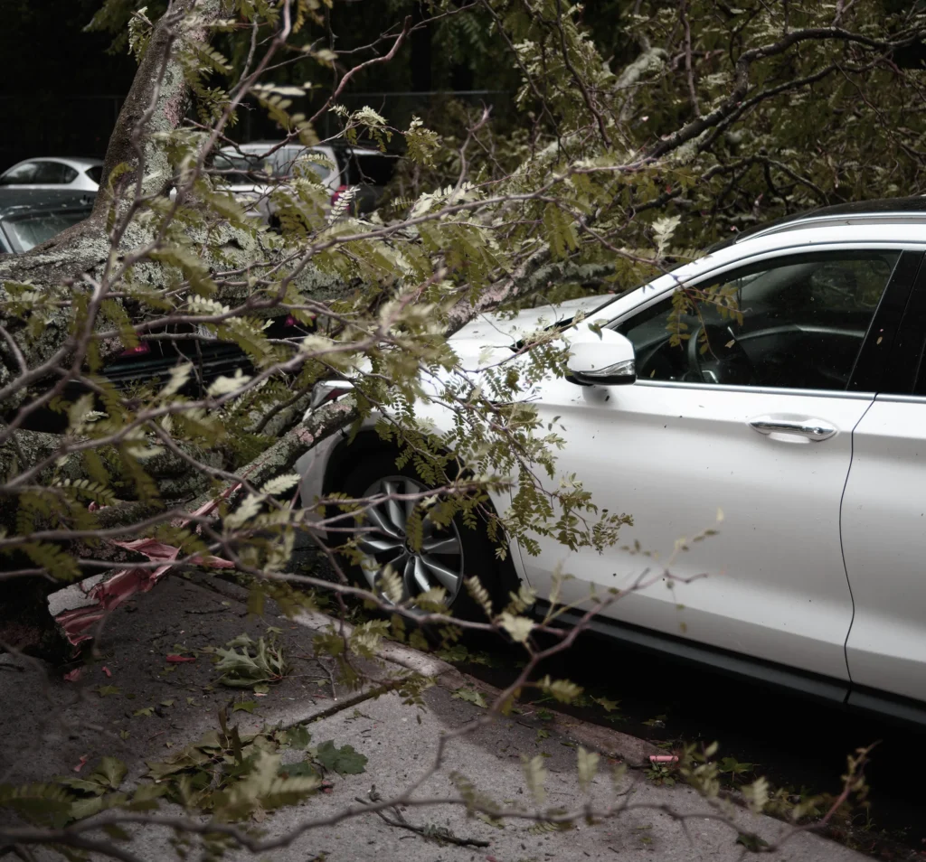 O que são Franquias? - SGL Seguros